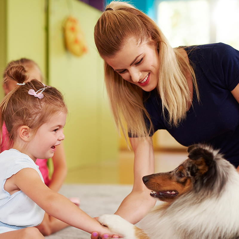 Our Services - Light Occupational Therapy